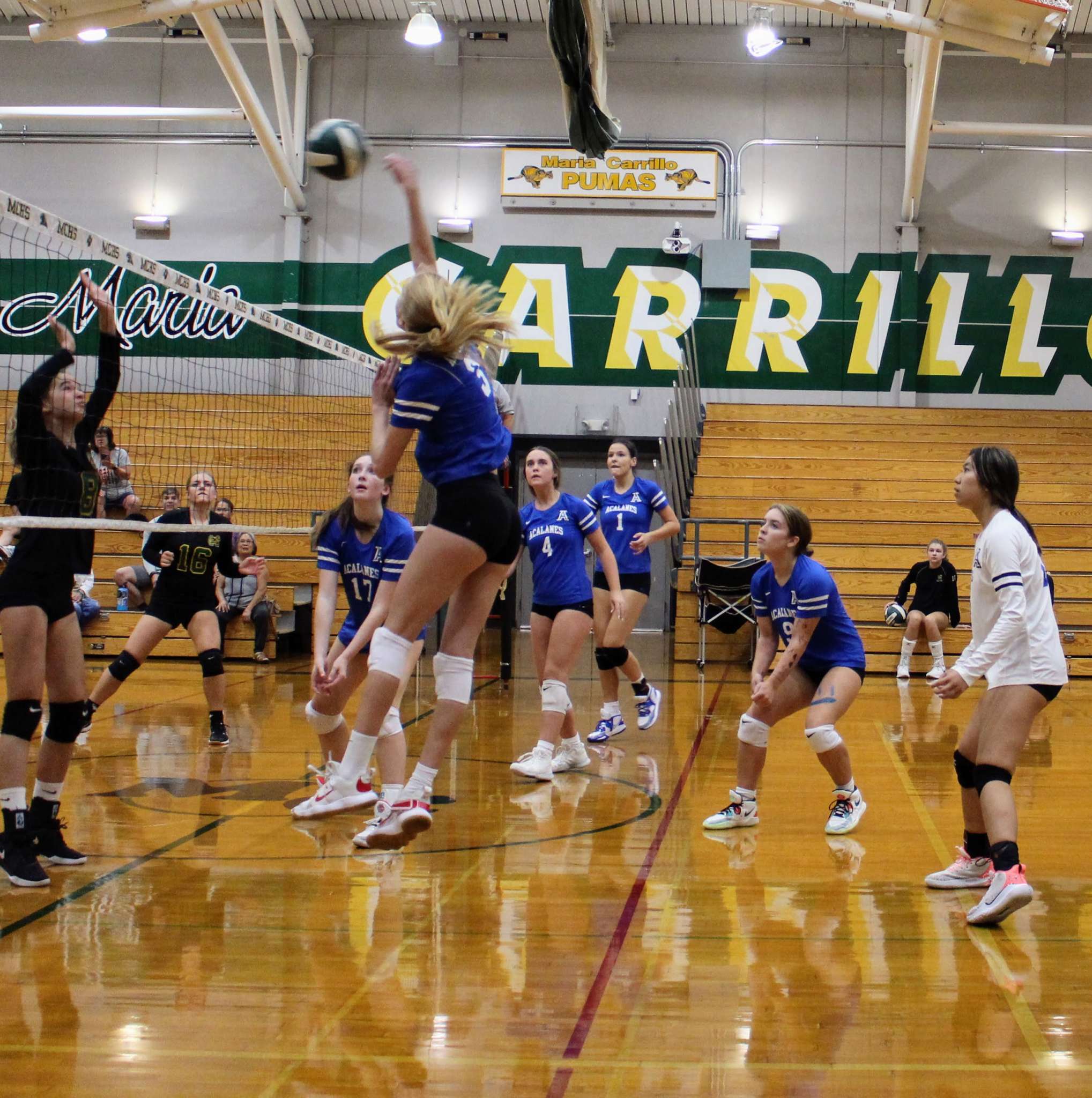 Dons Volleyball travels to Santa Rosa to play the Pumas – Acalanes Boosters