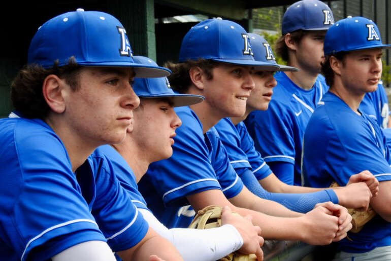 Varsity Baseball Wins Over Marin Catholic in Scrimmage, 5-3 – Acalanes ...